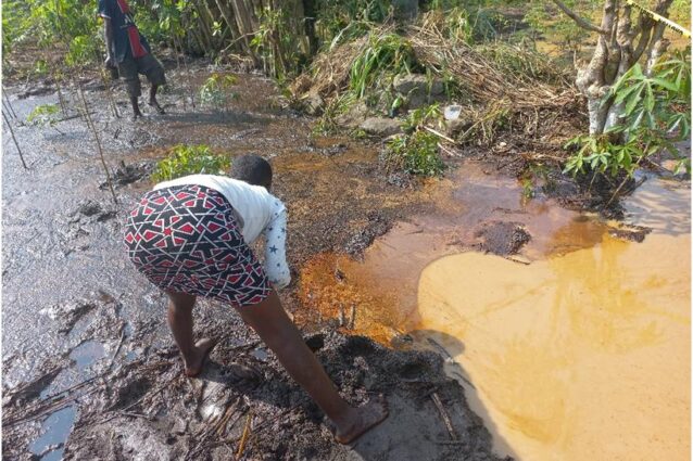 ANOTHER FRESH OIL-SPILLS DESTROY FARMLAND AND CROPS IN BODO, GOKANA LGA ...