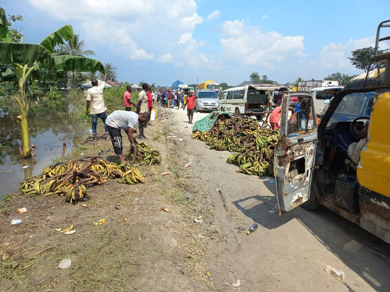 2023 LEAN SEASON: NIGERIAN GOVERNMENT PREPAREDNESS AGAINST FOOD ...